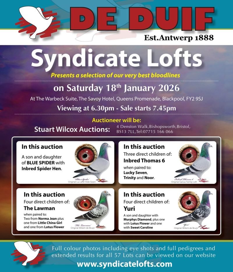 Blackpool Auction List 2026… – Syndicate Lofts